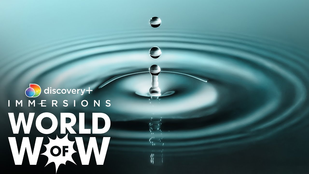 World of Wow: Satisfying Liquids in Slow Motion (Slow TV) | discovery+ ...