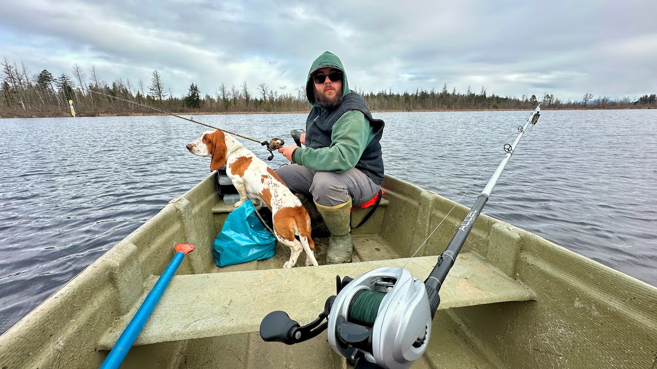 Our New Little Boat’s Maiden Voyage on Lake Fazon 🛶🎣 (Basset Hound ...