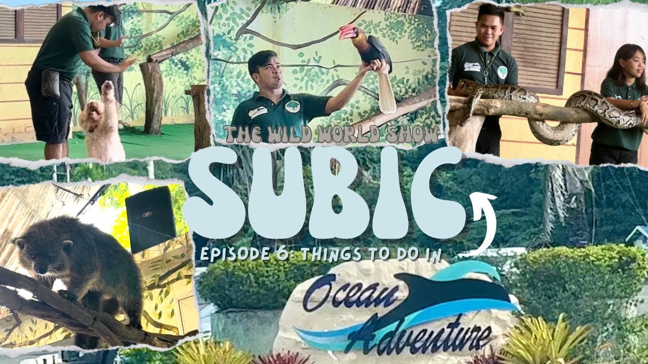 EPISODE 6: WILD WORLD SHOW AT OCEAN ADVENTURE 🐾 THINGS TO DO IN SUBIC ...