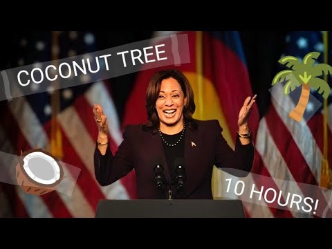 Coconut Tree - 10 HOURS! - Loop with Laugh - Kamala Harris - YouTube