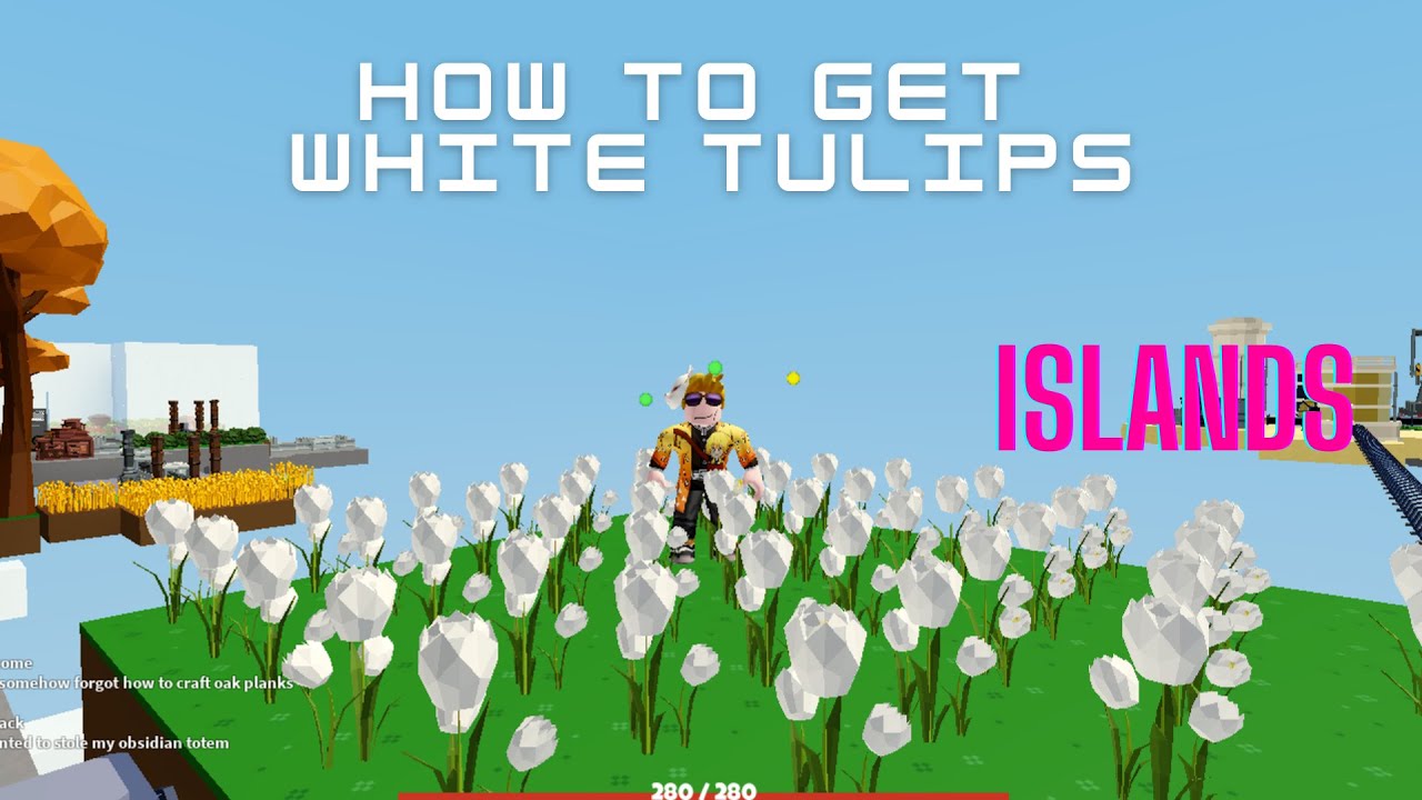 How to get WHITE TULIPS - Islands - Roblox - YouTube