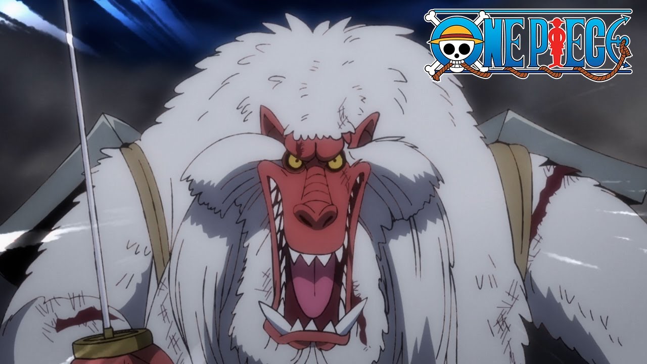 Bête comme un singe jusqu'à la mort | One Piece - YouTube