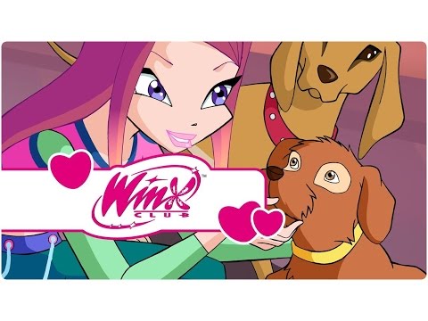 Klub Winx - Sezon 4 Odcinek 3 - Ostatnia Czarodziejka na Ziemi