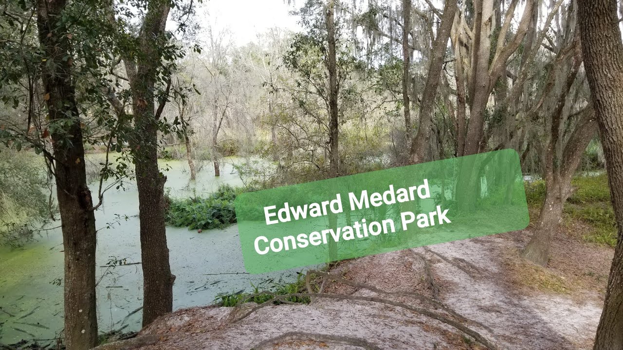 Edward Medard Conservation Park - YouTube