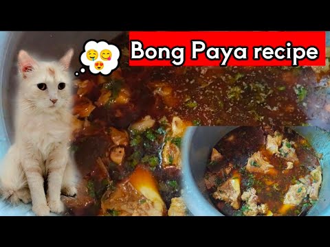PERSIAN CAT'S || Bong Paya Recipe Behtreen Paya Recipe - YouTube