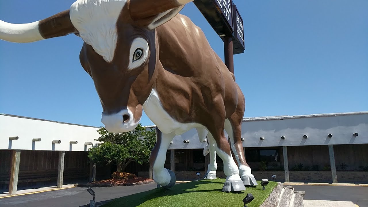Big Gus The 20,000 lb Steer Returns to it's home - YouTube