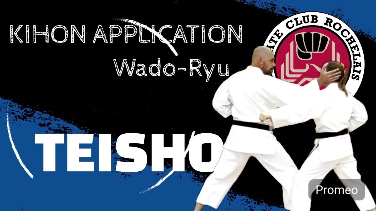 Teisho - Kihon application - Karate Wado Ryu - YouTube