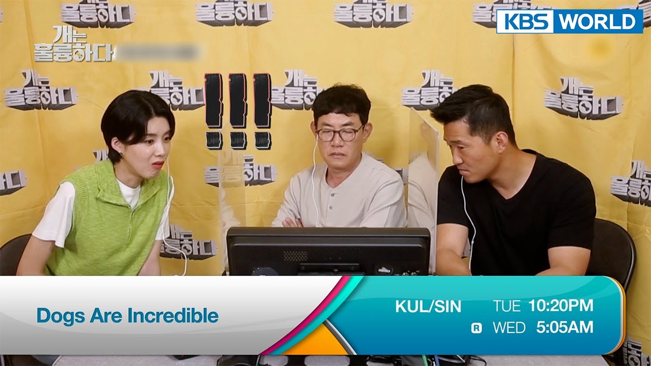 Dogs are incredible | 개는 훌륭하다 [PreviewㅣKBS WORLD TV] - YouTube