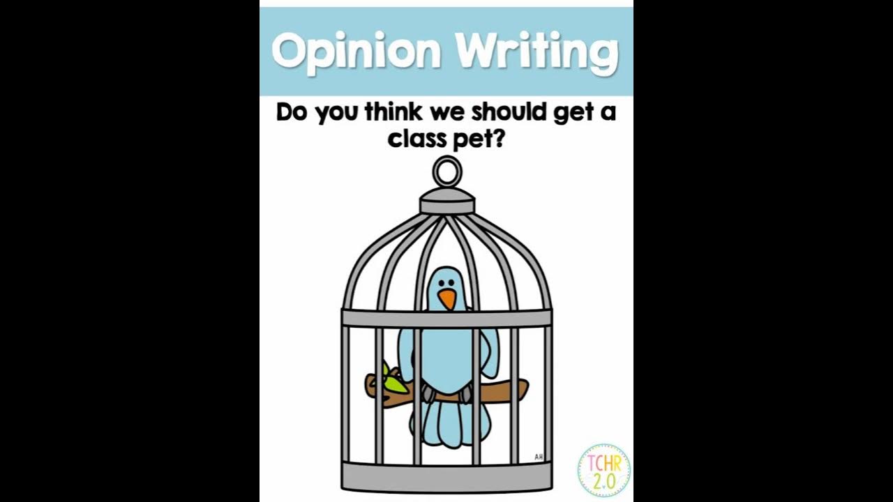 Class Pet? Opinion Writing - YouTube