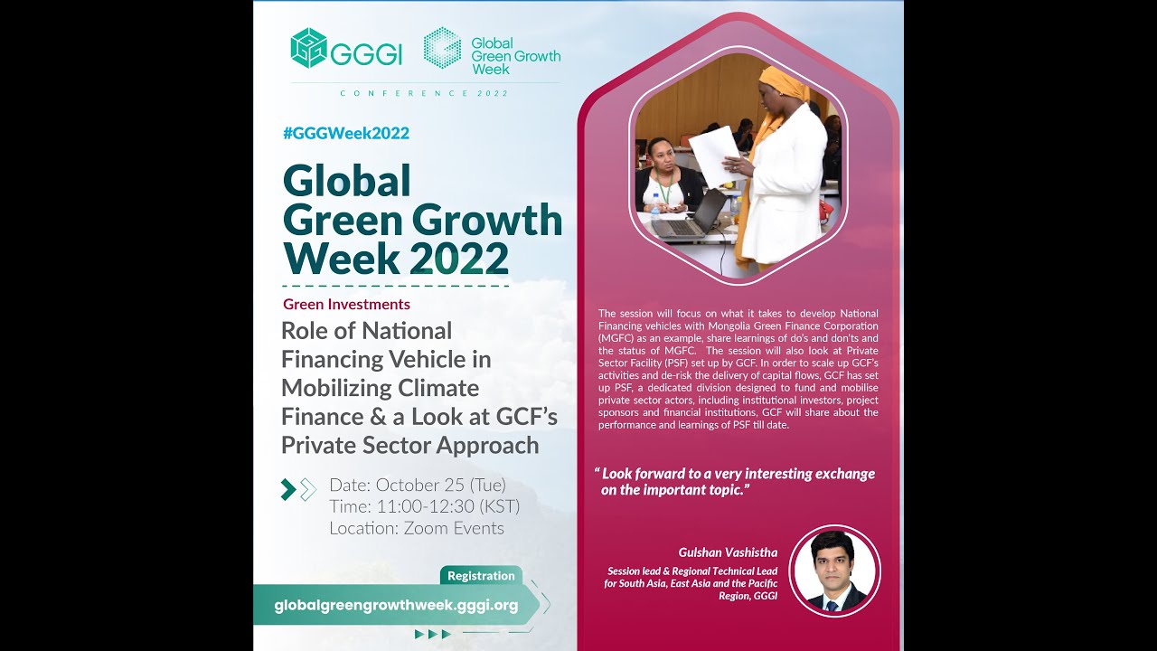 Role of National Financing Vehicle in Mobilizing Climate Finance & a ...