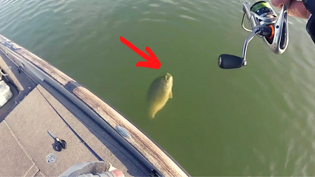 This OLD SCHOOL Lure Is TRULY The Best COLD Water BIG Bass Bait.. - YouTube