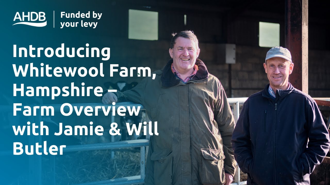 Introducing Whitewool Farm, Hampshire – Farm Overview with Jamie and ...