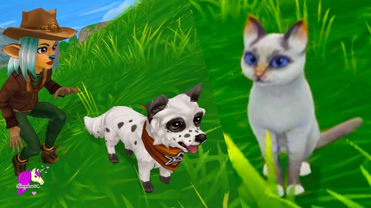 New Cat + Dog Star Stable Online Yule Goats Quest Review Let's Play ...