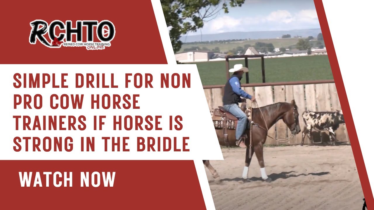 Simple Drill For Non Pro Cow Horse Trainers If Horse Is Strong In the ...