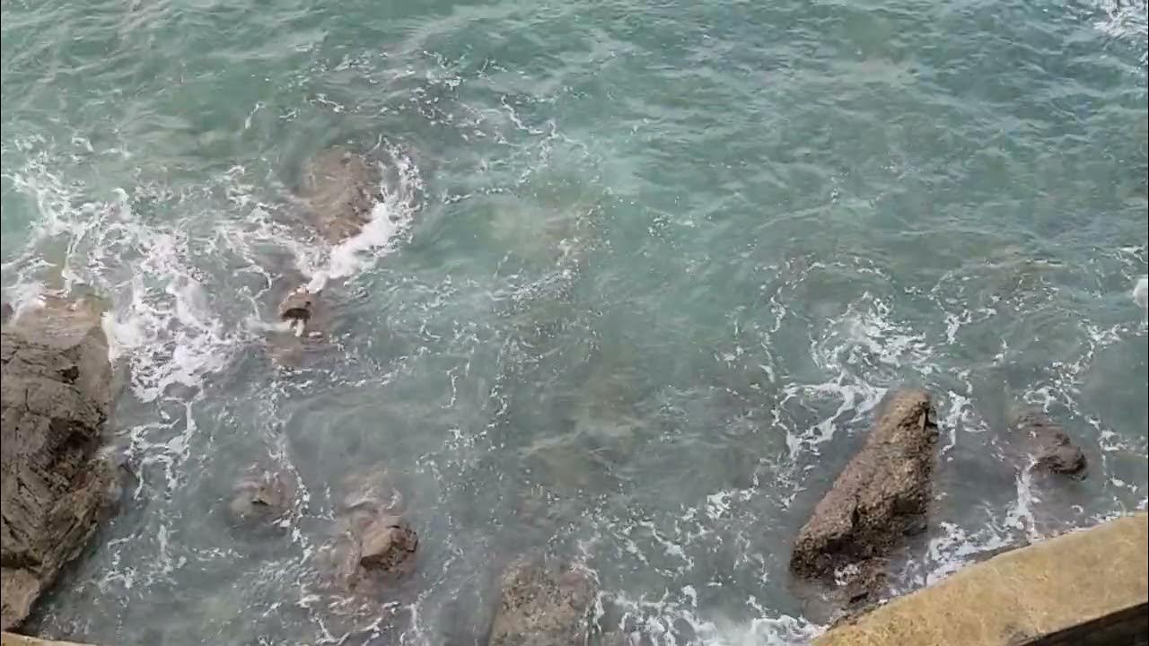 【自然音】夏の夕方の崖下の海辺、岩場が沈む満潮の波 - YouTube