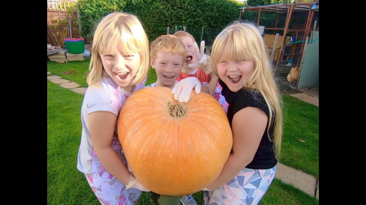 Huge Giant Rambo Pumpkin Halloween!!! - YouTube