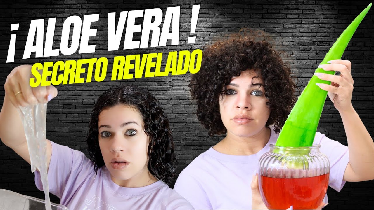 LA SÁBILA o ALOE VERA 😱 CUIDADO SINO ELIMINAS EL ACÍBAR ANTES DE ...