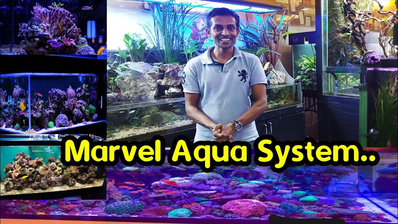 Marvel Aqua System, Amazing Aquariums .Maintaining, Water Changing, A ...