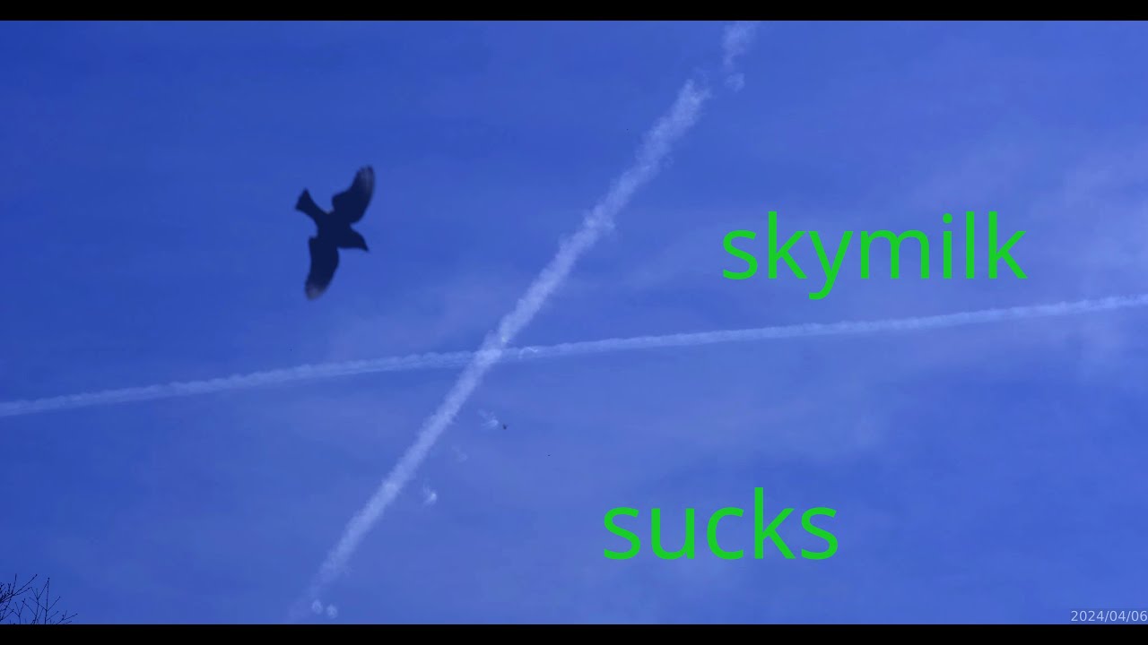 Psychic Lemon - "Cognitive Dissidents" (back on spraytards) - YouTube