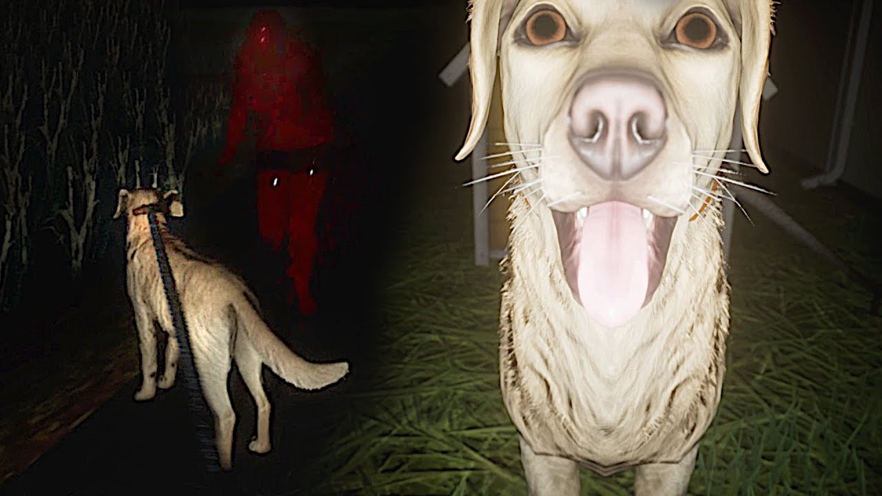 Horror Game Where You Walk Your Dog At Night & People Follow You - The ...