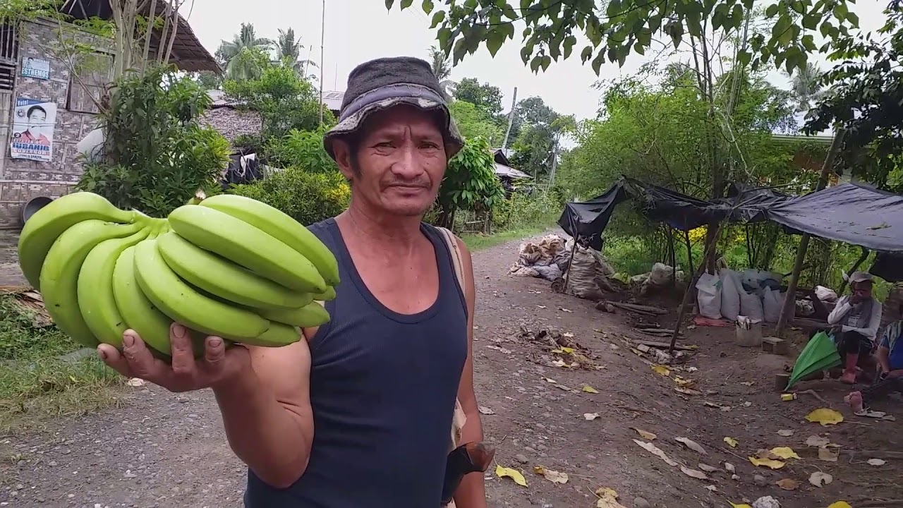 Episode#5 saging na reject sa davao del norte - YouTube