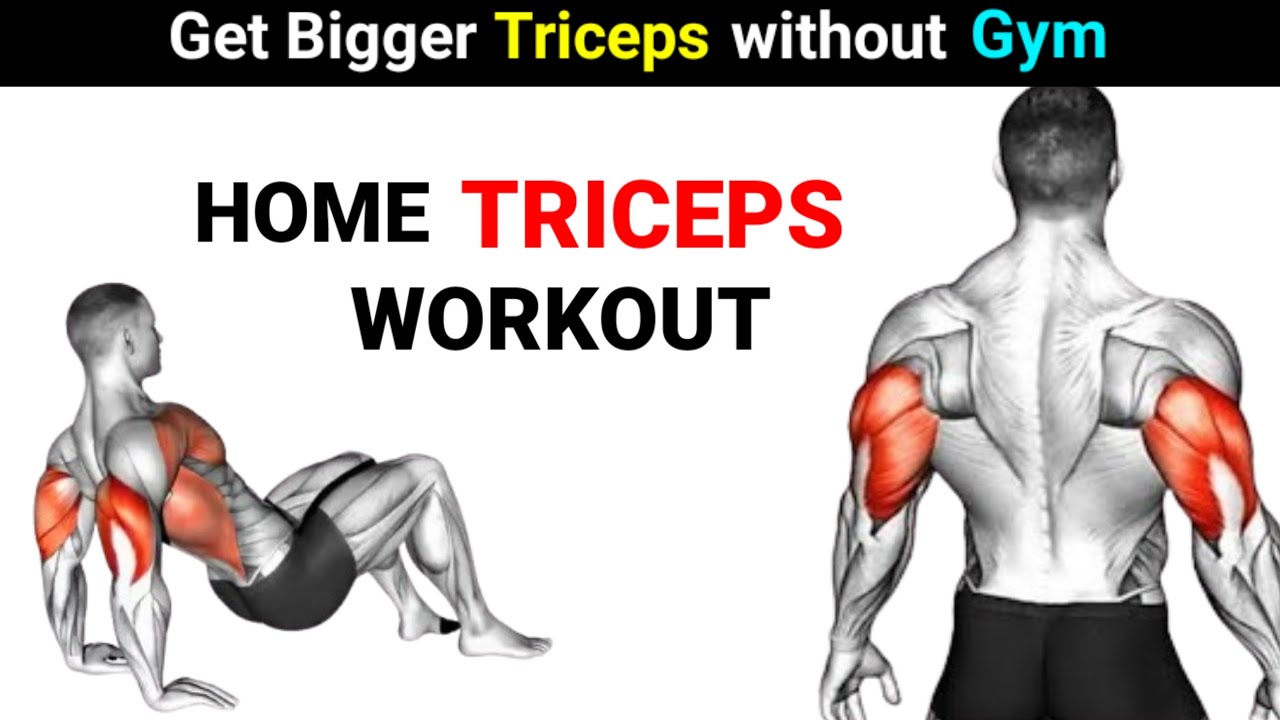 Best and most Effective Triceps Exercises with Gym - Home Workouts ...