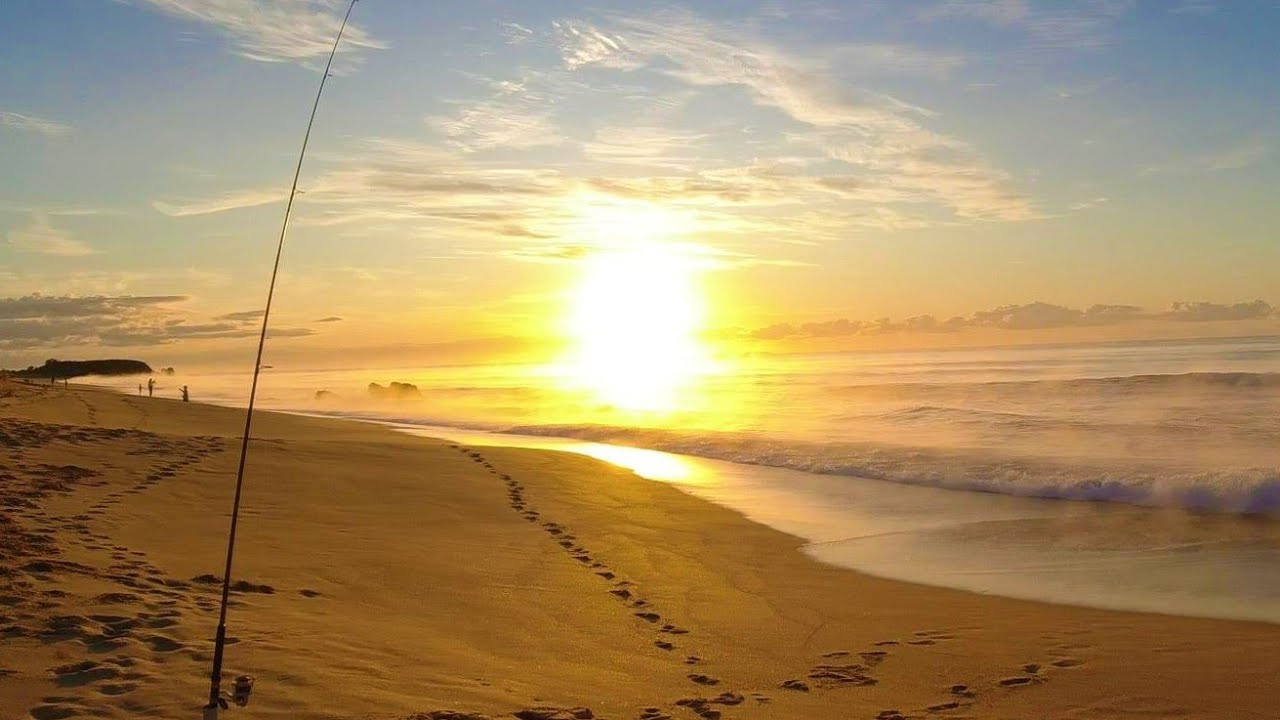 Beach Fishing Coffs Harbour. FLATHEAD, TAILOR, WHITING, BREAM. Random ...