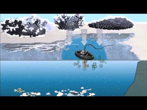 OASE | Eisfreihalter - IceFree Thermo