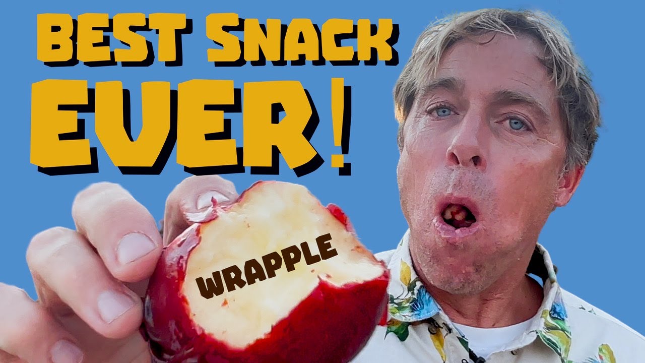Best Snack Ever | THE WRAPPLE by Dave England - YouTube