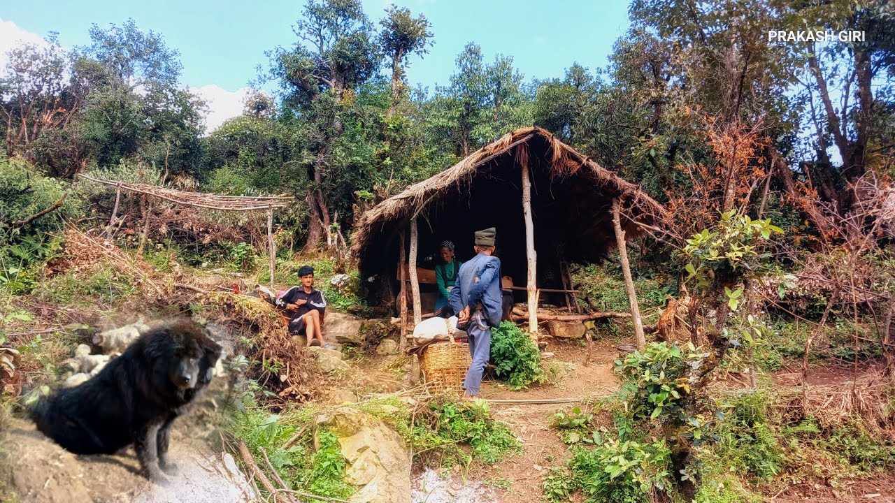 Most Beautiful And Peaceful Himalayan Mountain village lifestyle | Dely ...