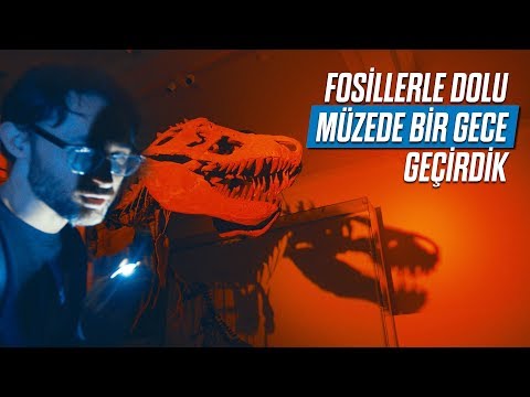 Fosillerle dolu müzede bir gece geçirdik!