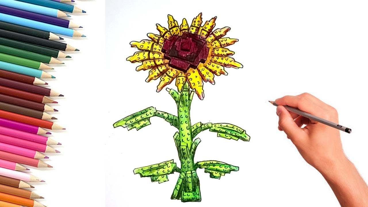 How to Draw a Sunflower 🌻 | Grow a Garden in Roblox! - YouTube