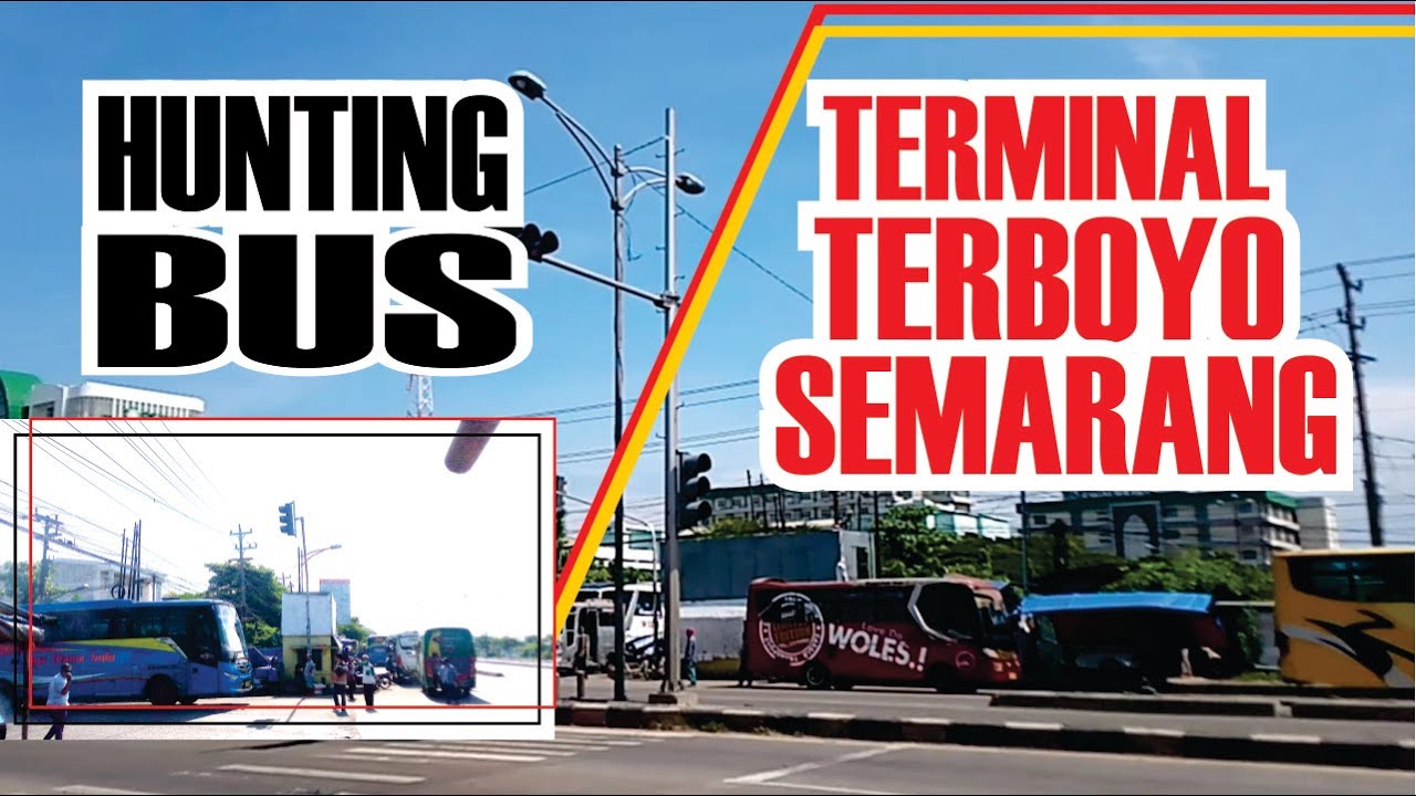 HUNTING BUS DI PINTU MASUK TERMINAL TERBOYO SEMARANG - YouTube