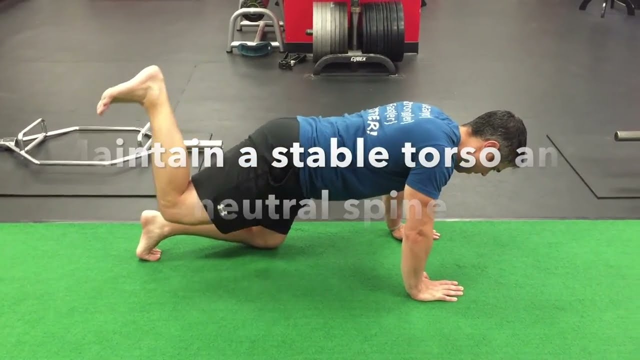 Quadruped Hip Cars Youtube