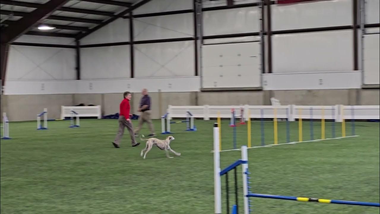 Orla JWW 3-1-2025 - YouTube