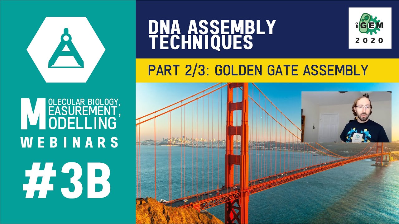 Week #3B: DNA Assembly Techniques - Part 2/3 Golden Gate Assembly ...