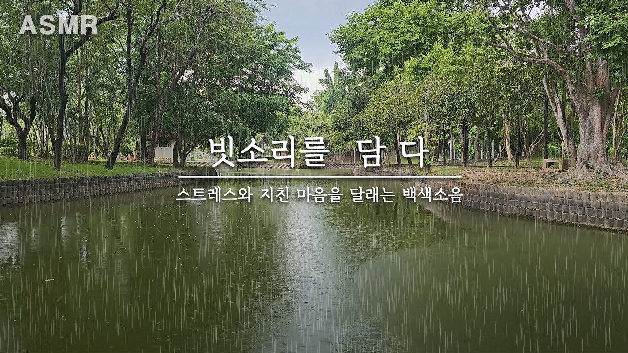 공원 연못 수면위로 떨어지는 빗소리 Asmr 긴장 완화와 마음의 안정을 위한 백색소음 스트레스 해소 이명 완화 집중력