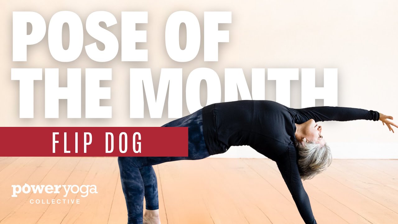 Power Yoga Canada's Pose of the Month - Flip Dog. May 2018. - YouTube