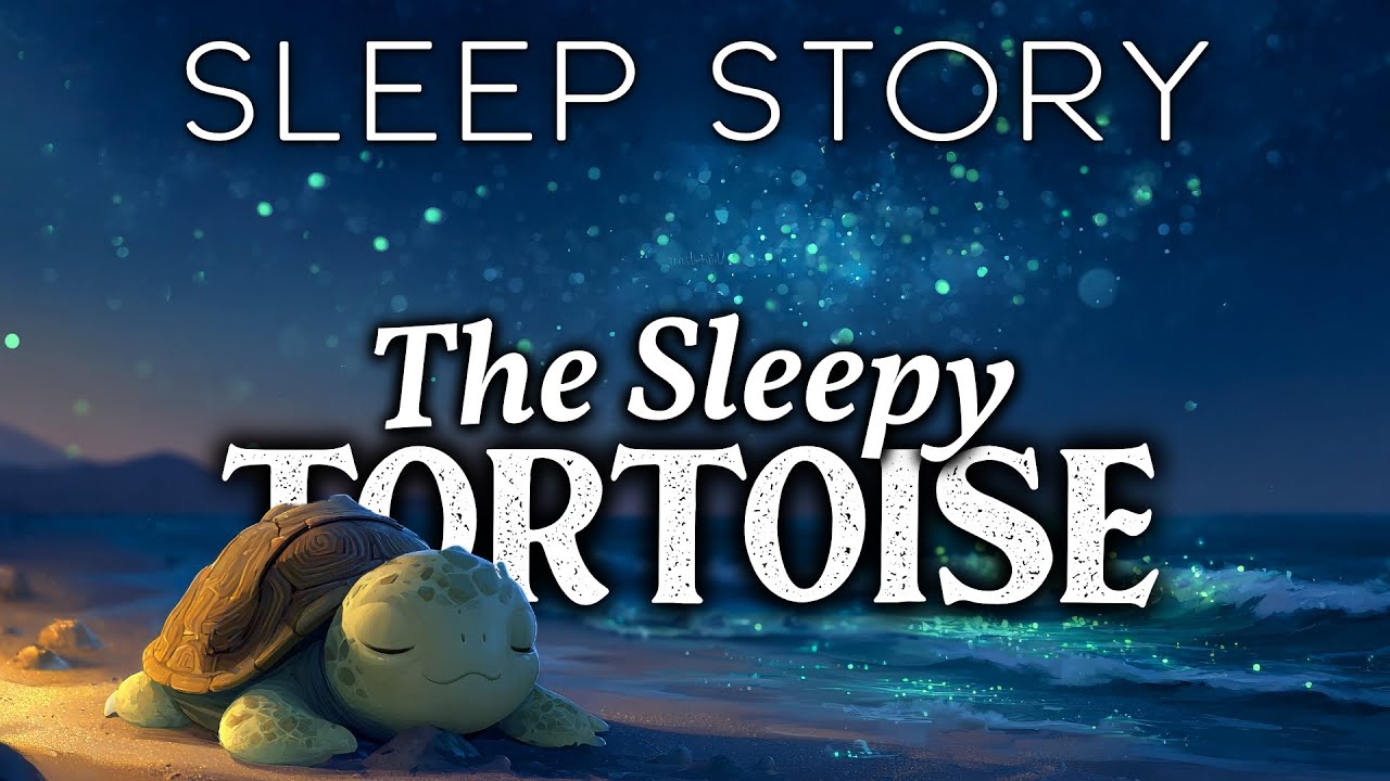 A Cozy Sleep Story: The Sleepy Tortoise by the Sea - YouTube