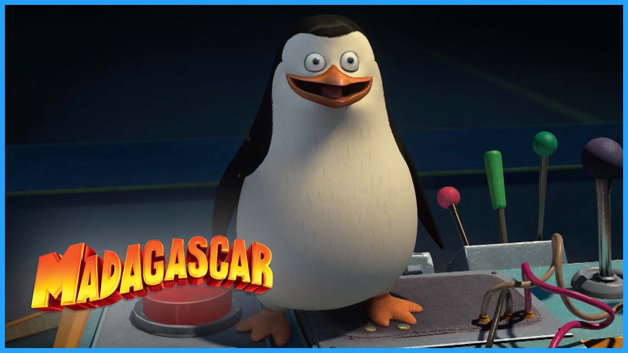 Private's escape mission | DreamWorks Madagascar - YouTube