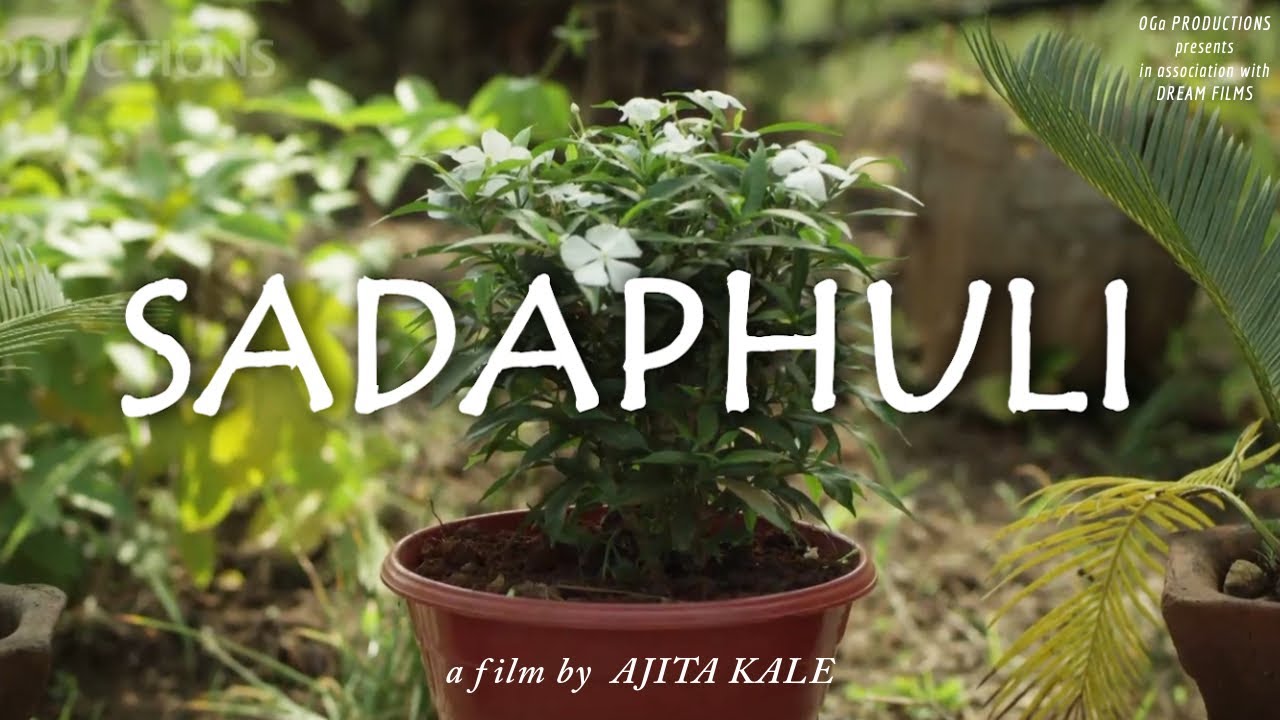 SADAPHULI SHORT FILM TRAILER || FILM BY AJITA KALE - YouTube