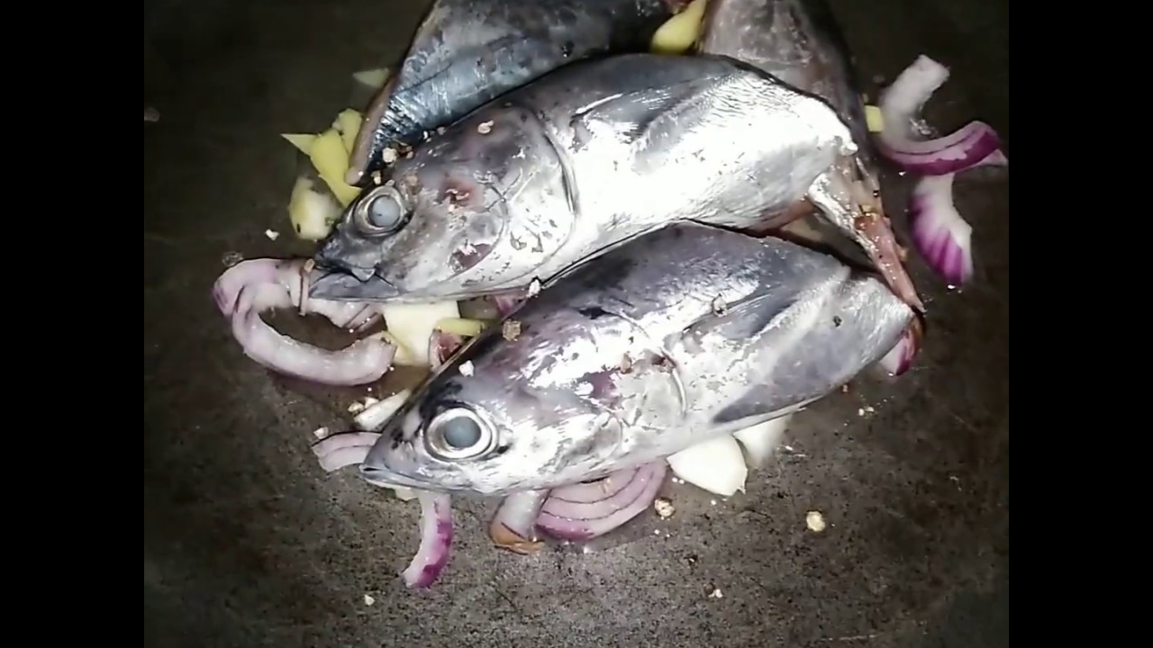 Adobong isdang Tulingan - YouTube