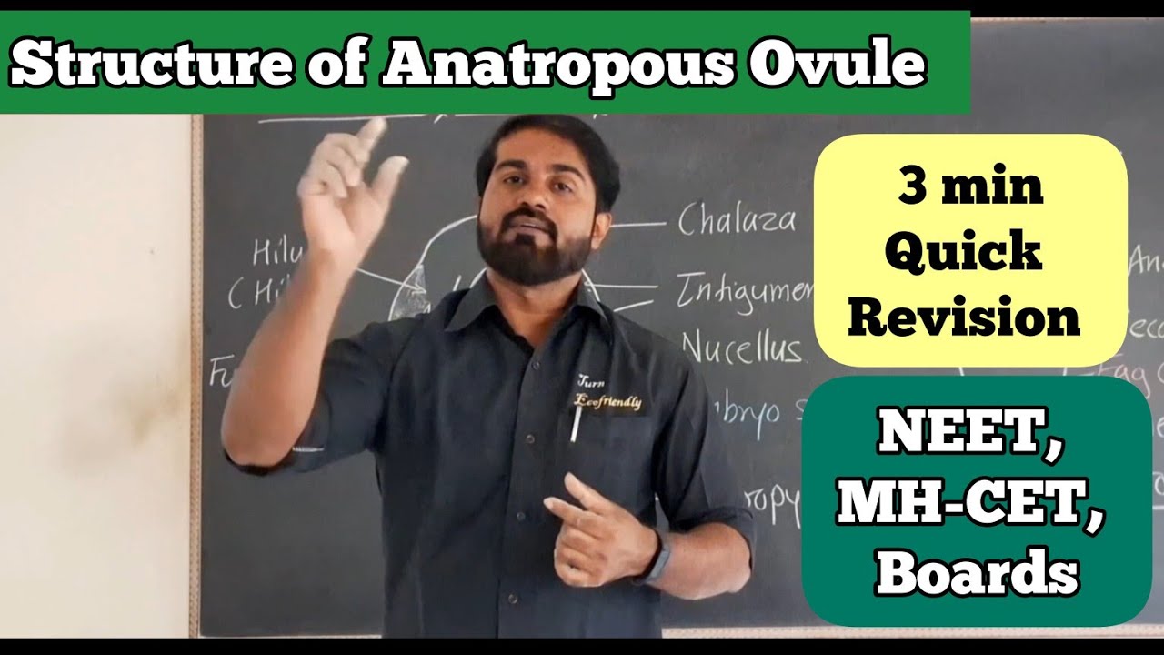 Structure of Anatropous Ovule @SandeepSir'sAmazingBiology - YouTube