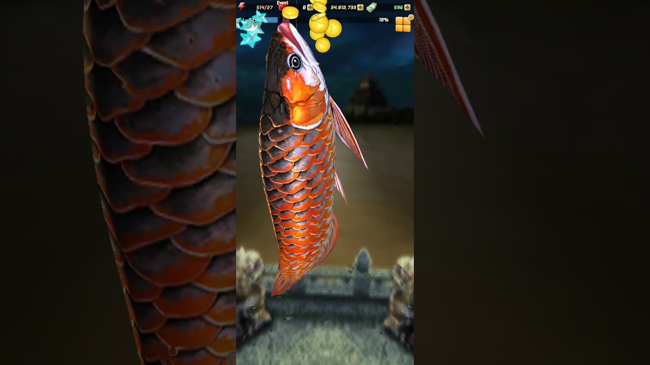 Ace fishing wild catch: SR Wild and RF fish part 2 - YouTube