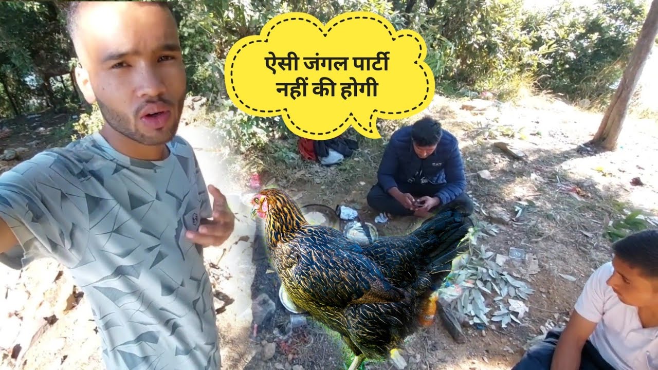 Chicken Dawat at the Jungle 😍 | Pahadi Jungle Chicken Party | Dipawali ...