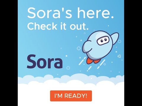 Sora Sign-In How To Video - YouTube