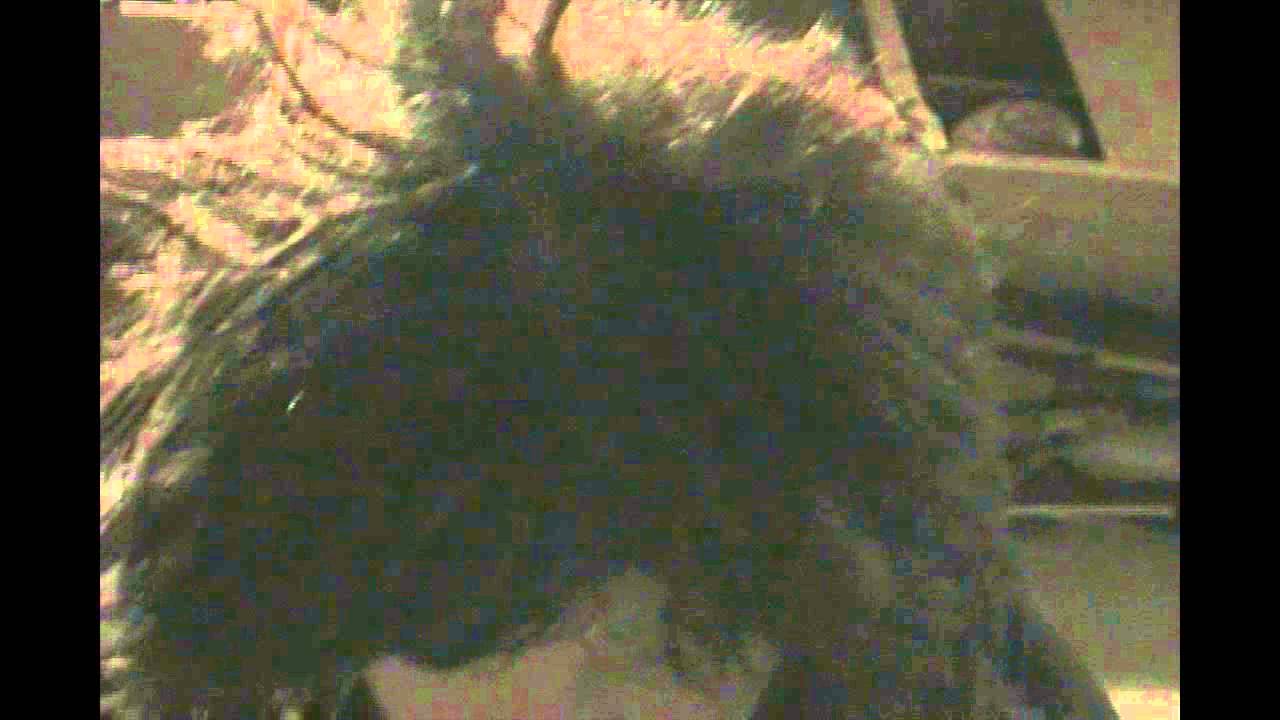 Chicken Chucker 2: Fowl Play - YouTube