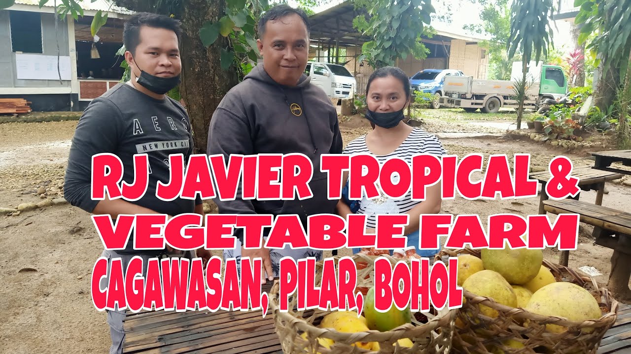 Arang daghanang mga Tropical Fruits ug mga Utanon sa RJ Javier Tropical ...