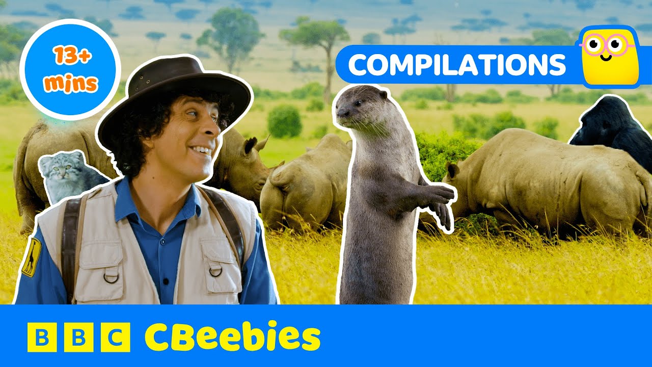 Playful Animals with Andy's Global Adventures | CBeebies - YouTube