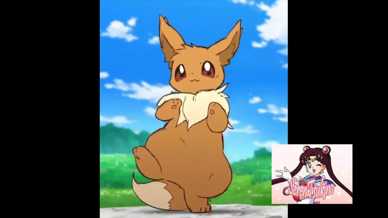 Eevee Dancing - Música de Pokemon sin Copyright :3 - YouTube